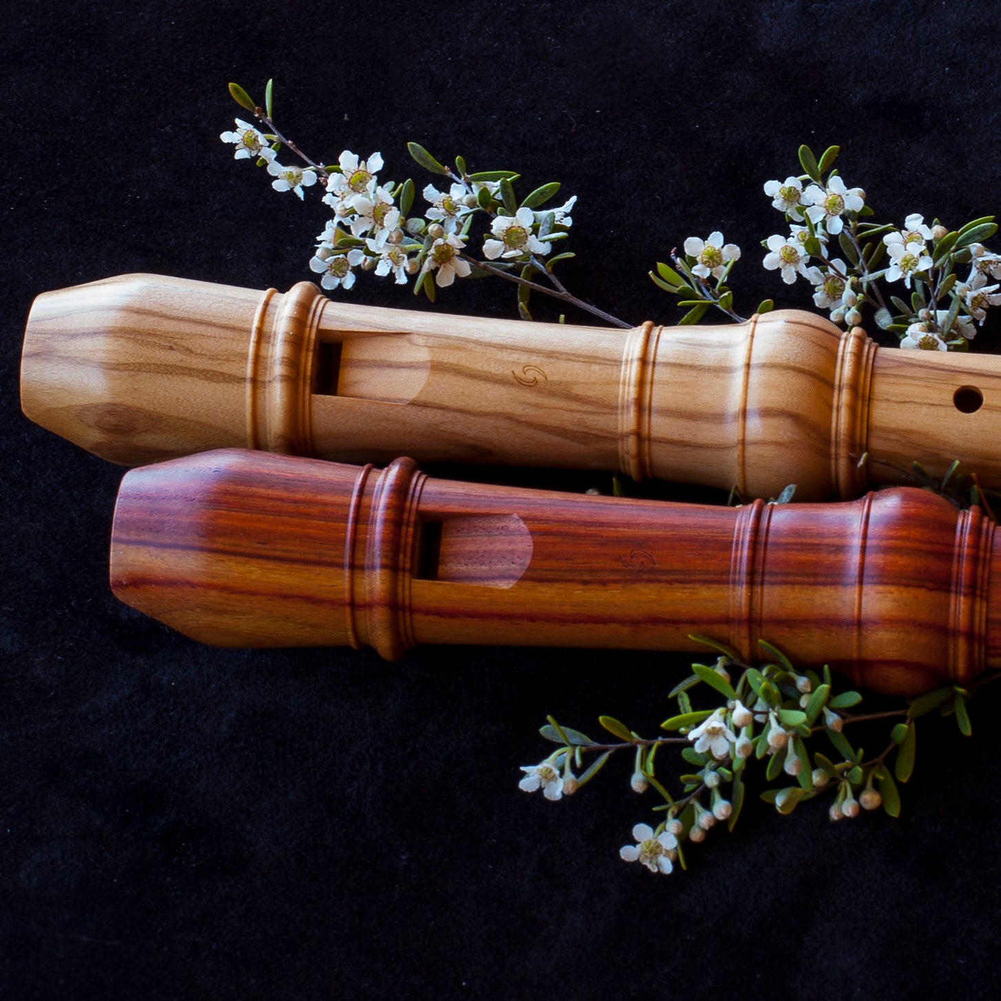 Buy High Quality Recorder Instruments Online | Orpheus Music